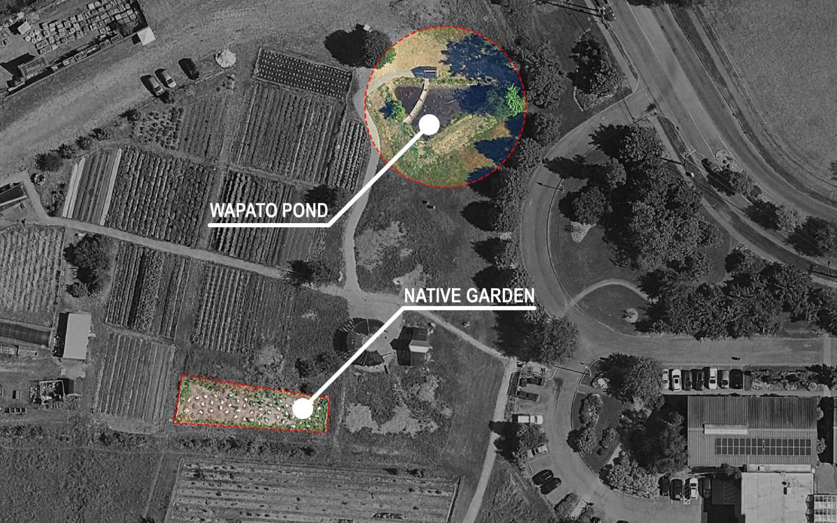 Native Food Ecosystem: Continuing to Steward the Native Garden and ...